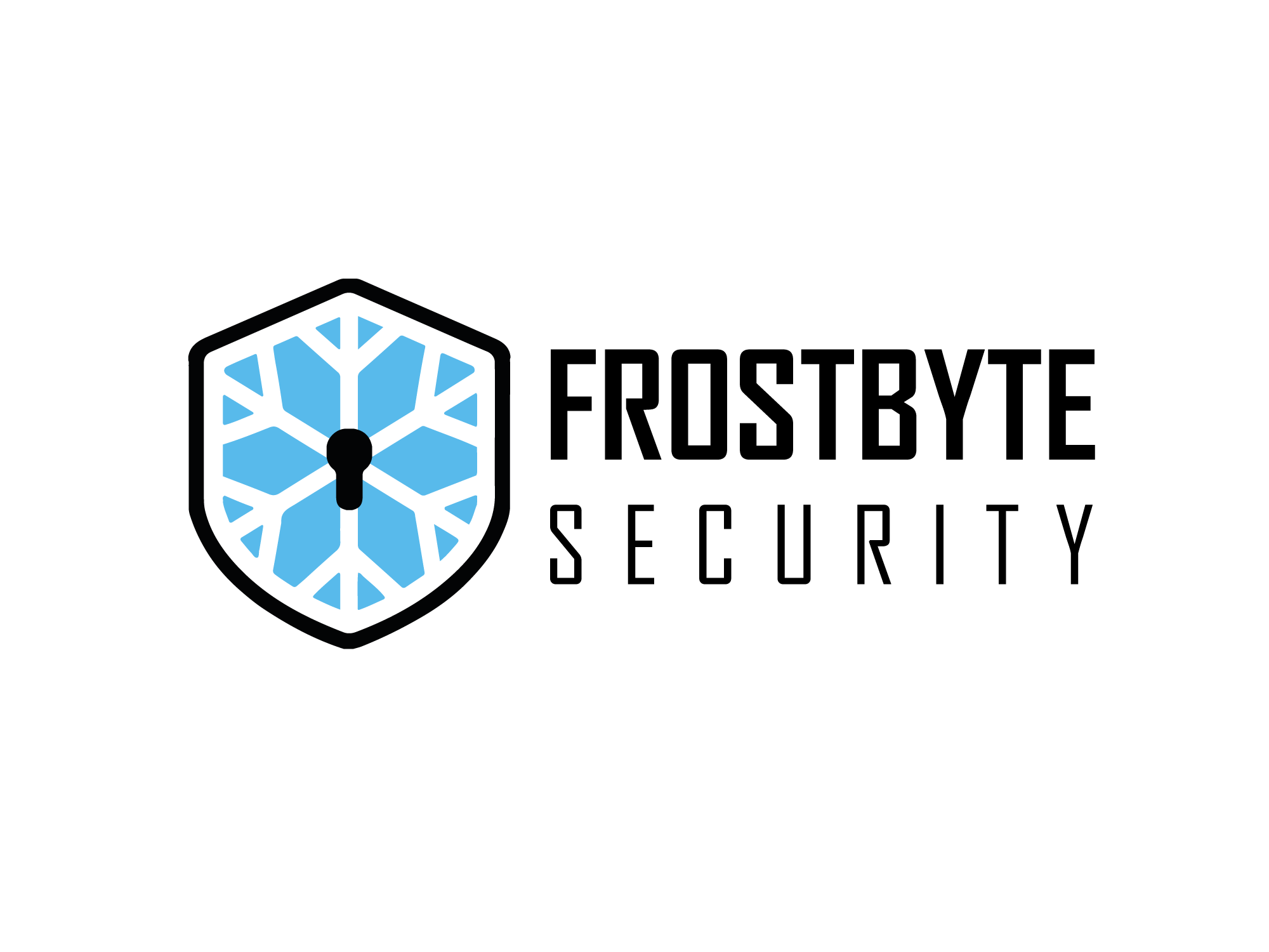 Home - Frostbyte Security