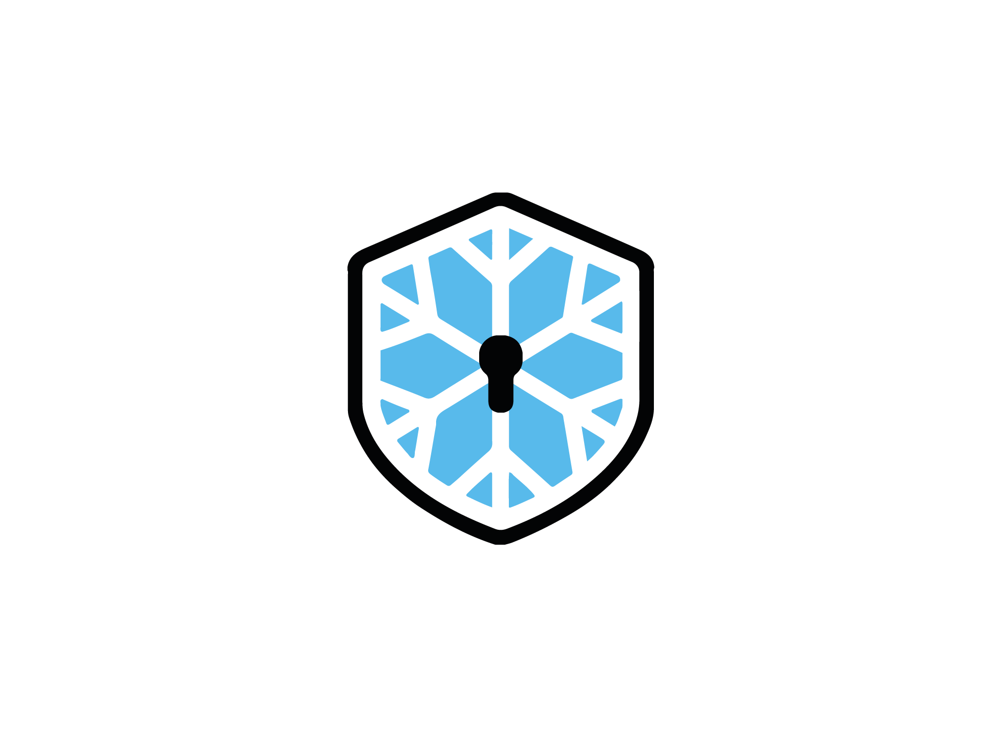Home - Frostbyte Security